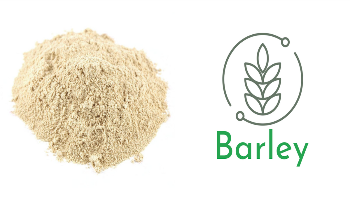 Introducing Malted Barley Powder – Living Soils